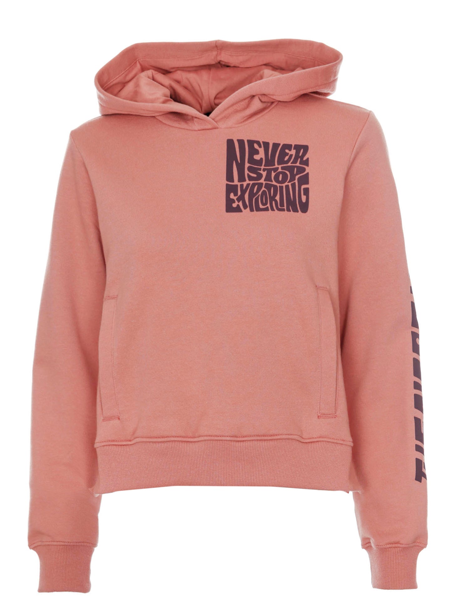 The North Face Black Label Hoodie Mountain Play